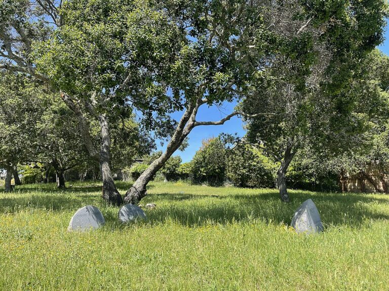 Burial Options: 5 Ways To Lay Our Loved Ones To Rest - WORDWAYS CEREMONIES